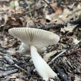 Ryan Park Loop, Rhode Island - 422 Reviews, Map | AllTrails