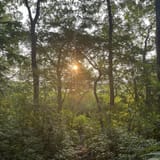 Ryan Park Loop, Rhode Island - 422 Reviews, Map | AllTrails