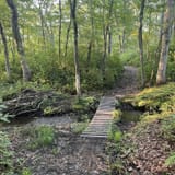 Ryan Park Loop, Rhode Island - 422 Reviews, Map | AllTrails
