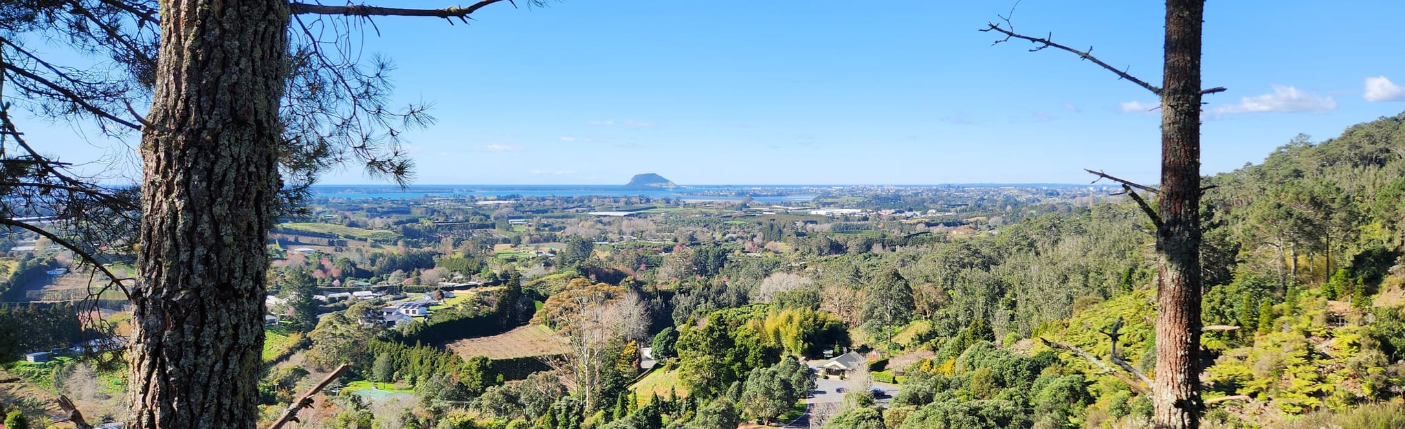 Te Puna Quarry Park Walk, Bay of Plenty, New Zealand - 30 Reviews, Map ...