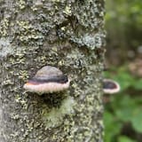 Mahoosuc Notch Loop via North Pond Road to Appalachian Trail, Maine ...