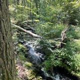 Bushkill Falls Red Trail, Pennsylvania - 615 Reviews, Map | AllTrails