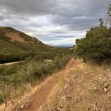 Red Butte Canyon Overlook, Utah - 343 Reviews, Map | AllTrails