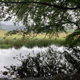 Lough Eske Nature Loop, County Donegal, Ireland - 137 Reviews, Map ...