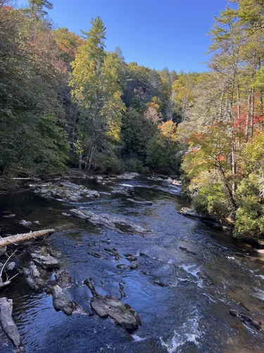 10 Best Trails and Hikes in Blue Ridge | AllTrails