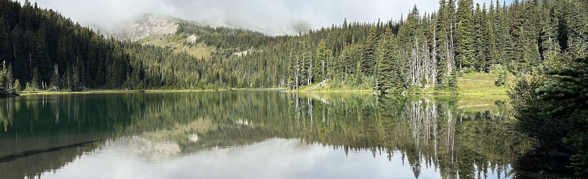 Mount Rainier Northern Loop Trail, Washington - 122 Reviews, Map ...