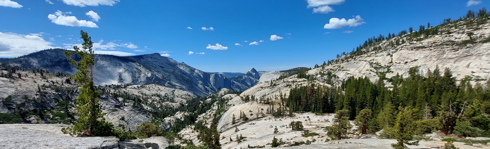 Olmsted Point Nature Trail, California - 355 Reviews, Map | AllTrails