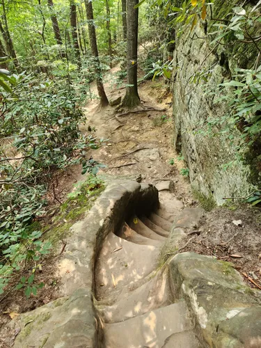 2023 Best Lake Trails in Natural Bridge State Park | AllTrails