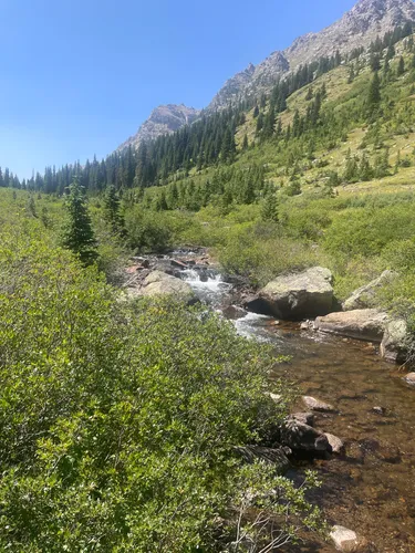 Best Camping Trails in Meredith | AllTrails