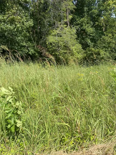 Best Hikes and Trails in Cub Run Stream Valley Park | AllTrails