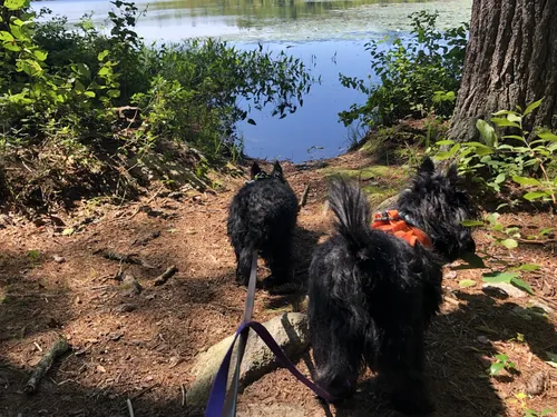 Best Hikes and Trails in Hall Environmental Reserve | AllTrails