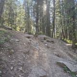 Webster's Dam/Manmade Falls, Idaho - 273 Reviews, Map | AllTrails
