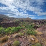 White Cliffs Wagon Trail, Arizona - 280 Reviews, Map | AllTrails