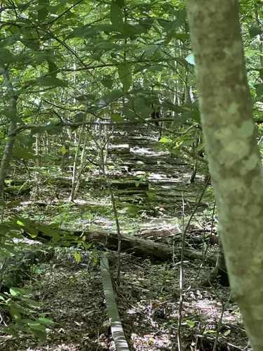 Best Rails Trails In Cohasset Alltrails