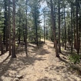 Tallman Ranch via Bridge Creek Trailhead, Colorado - 459 Reviews, Map ...