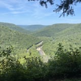 Canyon Vista Trail, Pennsylvania - 800 Reviews, Map | AllTrails