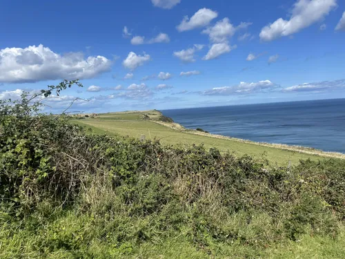 10 Best Beach Trails in North York Moors National Park | AllTrails