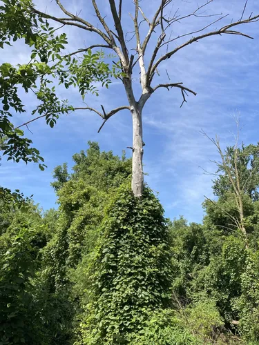 Best Hikes and Trails in Genesee Valley Greenway State Park | AllTrails