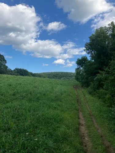 Best Hikes and Trails in Battis Farm | AllTrails