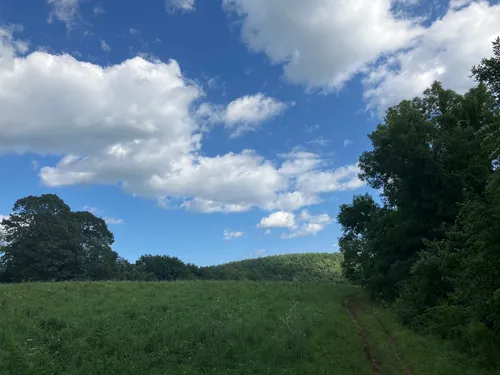 Best Hikes and Trails in Battis Farm | AllTrails