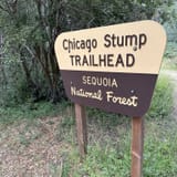 Chicago Stump Trail, California - 73 Reviews, Map | AllTrails
