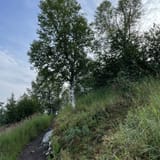 Curry Ridge Trail, Alaska - 756 Reviews, Map | AllTrails