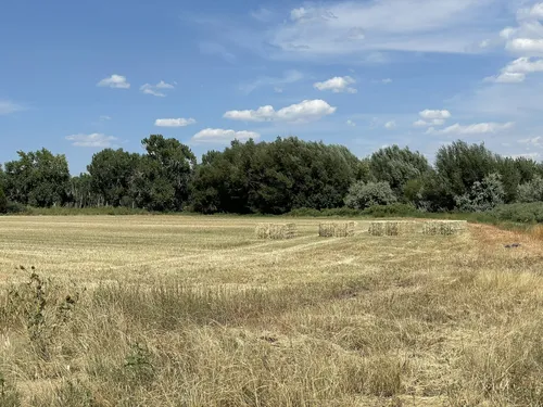 Best Hikes and Trails in Clear Spring Ranch | AllTrails