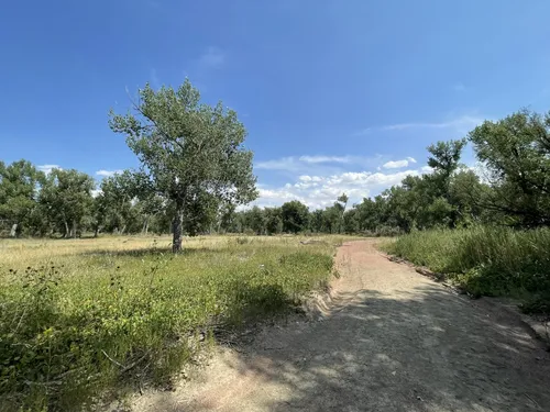 Best Hikes and Trails in Clear Spring Ranch | AllTrails