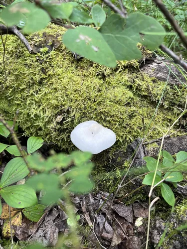 Best Hikes and Trails in Snake Hill Recreation Area | AllTrails