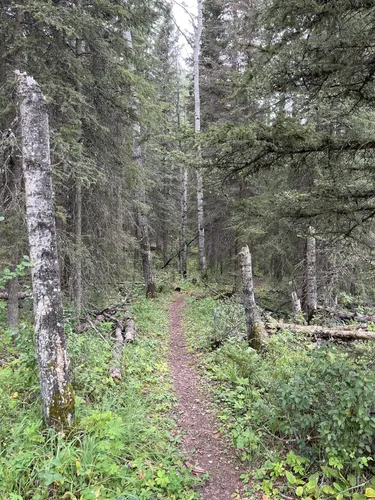 Best Hikes and Trails in Snake Hill Recreation Area | AllTrails