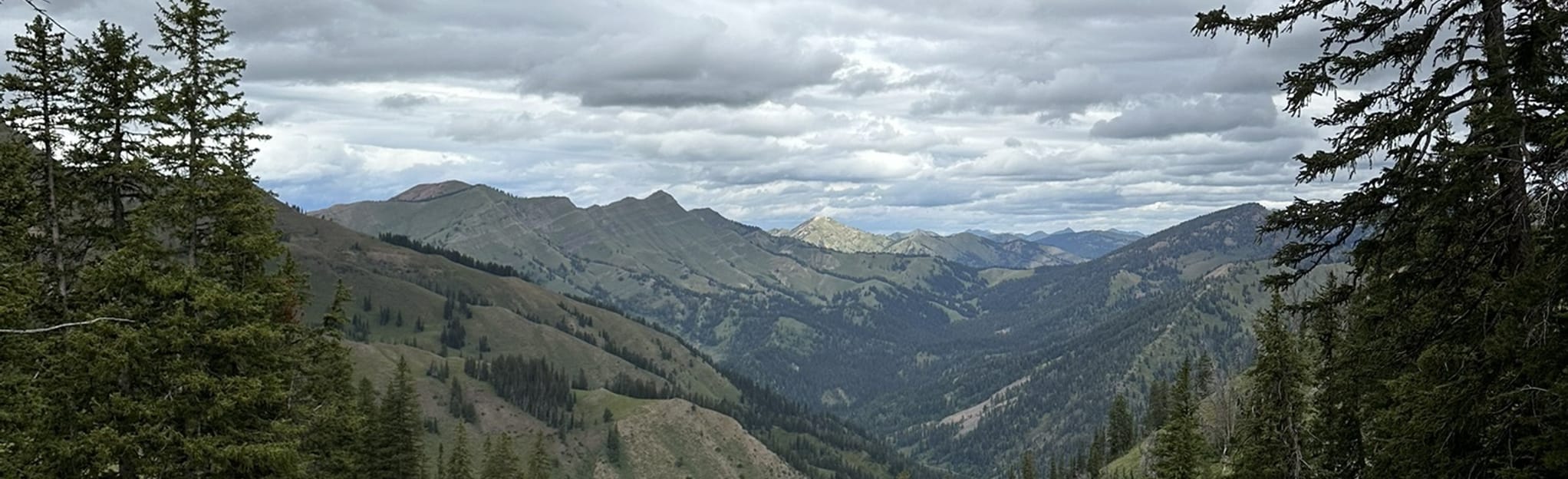 Mount Wagner Trail: 32 Reviews, Map - Wyoming | AllTrails