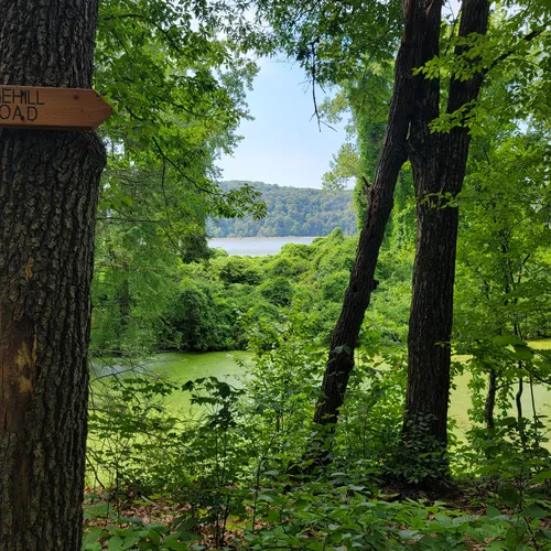 Best Hikes and Trails in Locust Grove Estate | AllTrails