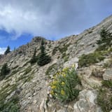 Deception Peak and Lake Peak, New Mexico - 481 Reviews, Map | AllTrails