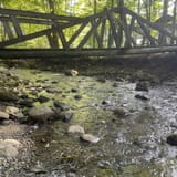 Bee Brook Loop, Connecticut - 1,036 Reviews, Map | AllTrails