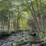 Bee Brook Loop, Connecticut - 1,036 Reviews, Map | AllTrails