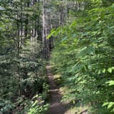 Bee Brook Loop, Connecticut - 1,036 Reviews, Map | AllTrails