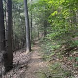 Bee Brook Loop, Connecticut - 1,036 Reviews, Map | AllTrails