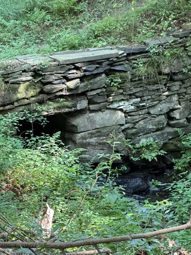 2023 Best Views Trails in Factoryville | AllTrails