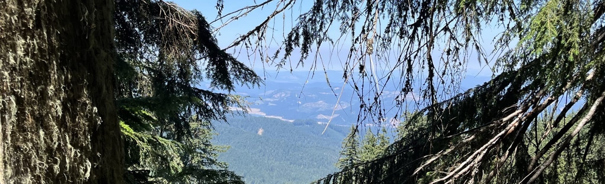 Patterson Mountain Trail, Oregon - 41 Reviews, Map | AllTrails