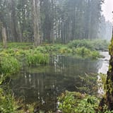 Fish Lake Trail, Oregon - 55 Reviews, Map | AllTrails