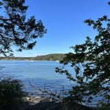 Bell Point Loop Trail, Washington - 413 Reviews, Map | AllTrails