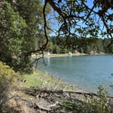 Bell Point Loop Trail, Washington - 413 Reviews, Map | AllTrails