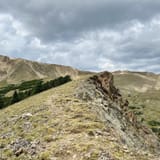 Butler Gulch Trail, Colorado - 2,485 Reviews, Map | AllTrails