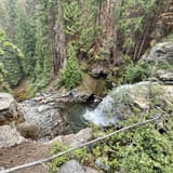 Cedar Falls Trail, Washington - 309 Reviews, Map | AllTrails
