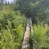 Curry Ridge Trail, Alaska - 756 Reviews, Map | AllTrails