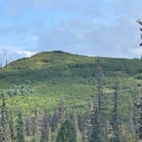 Curry Ridge Trail, Alaska - 756 Reviews, Map | AllTrails