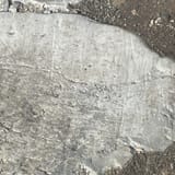 Curry Ridge Trail, Alaska - 756 Reviews, Map | AllTrails