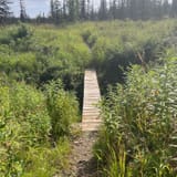 Curry Ridge Trail, Alaska - 756 Reviews, Map | AllTrails