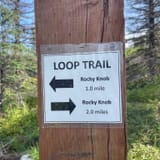 Curry Ridge Trail, Alaska - 756 Reviews, Map | AllTrails