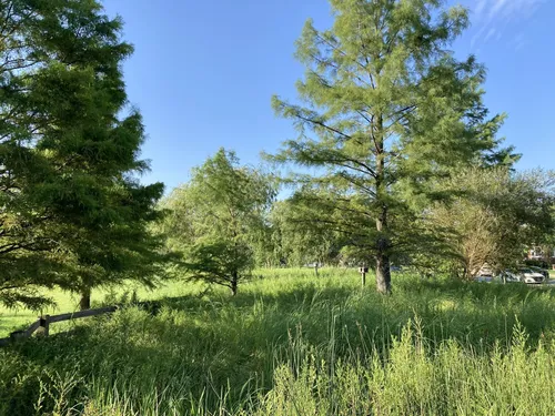 Best Hikes and Trails in Taylor (Robert Rochon) Park | AllTrails